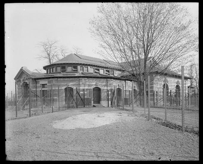 Museum of the City of New York - Bronx Zoo, Antelope House.