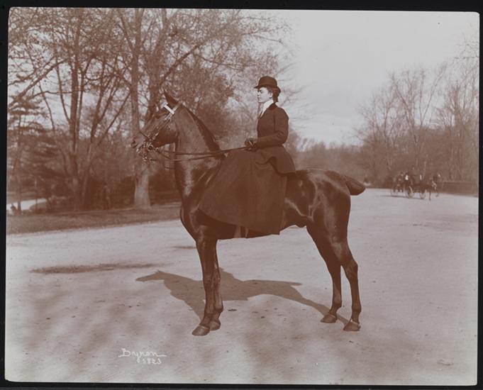 Museum of the City of New York - Parks, Central Park, Various Parts of ...